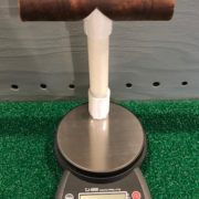 Scales - Northwood Falconry