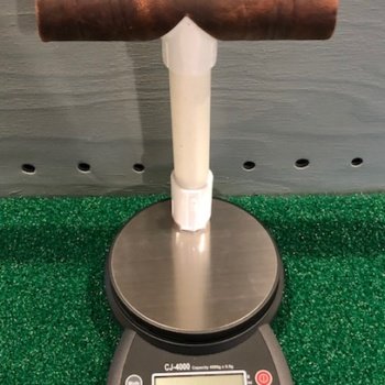 Scales - Northwood Falconry