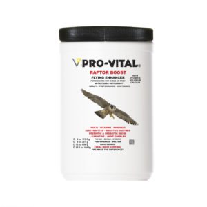 Healthcare - Northwood Falconry