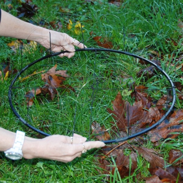 Traps - Northwood Falconry